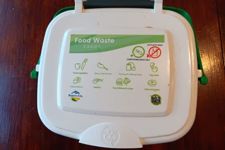 Facts About Composting: 19 Essential Insights to Begin Your Sustainable ...